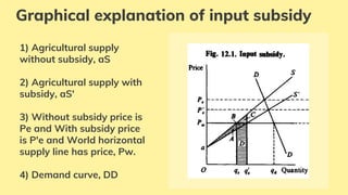 Input subsidy | PDF