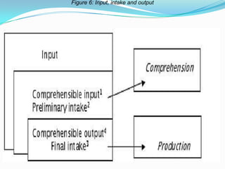 Input vs output hypothesis | PPTX