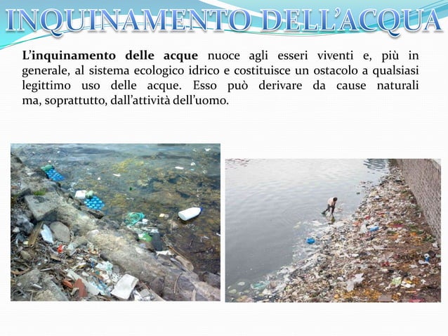Inquinamento | PPT