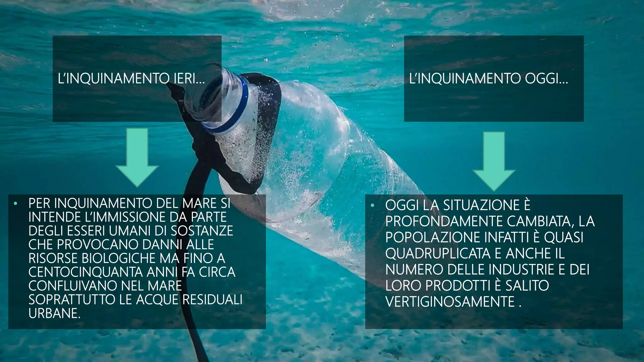 inquinamento_acque_marine.pptx