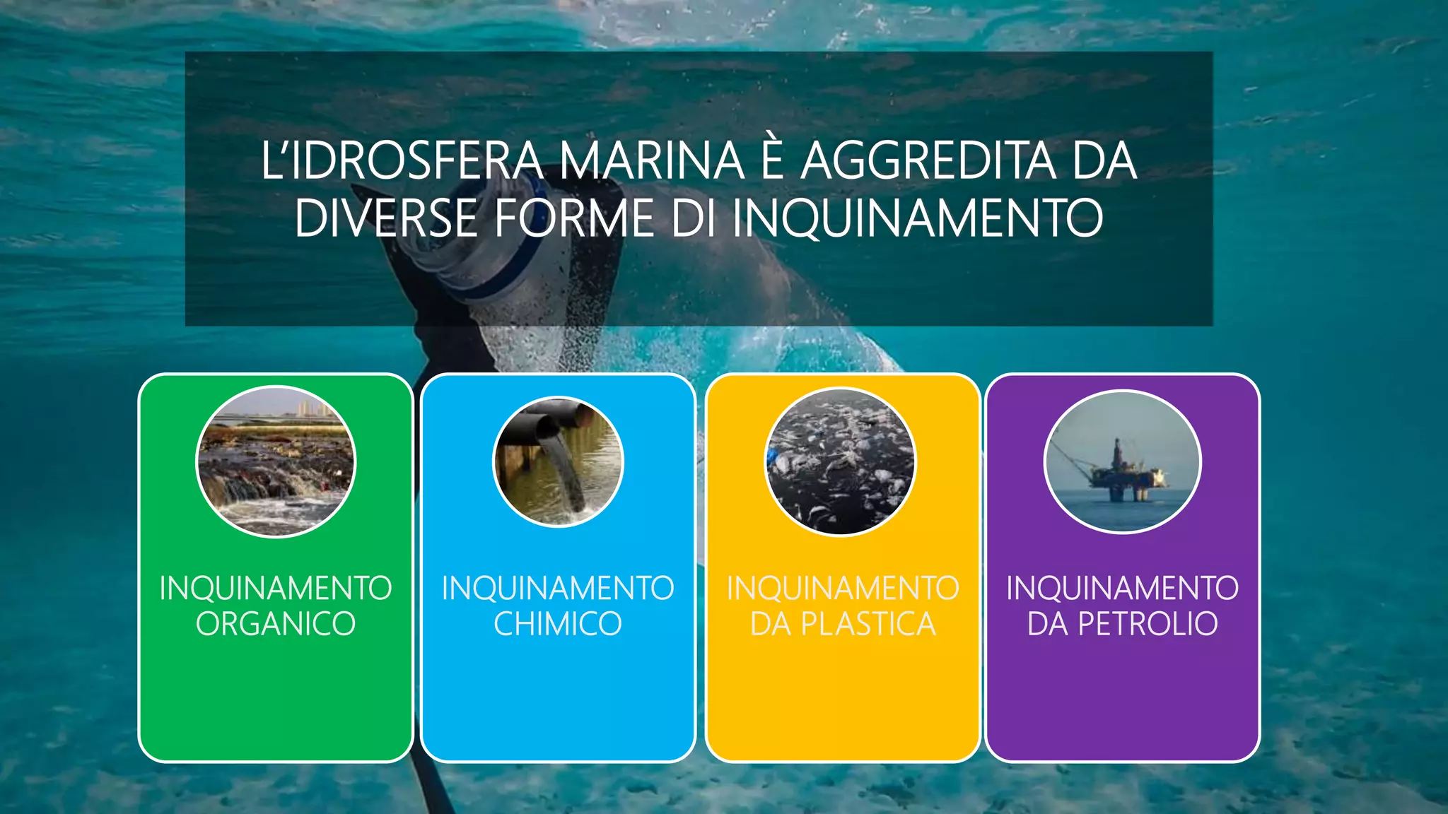 inquinamento_acque_marine.pptx