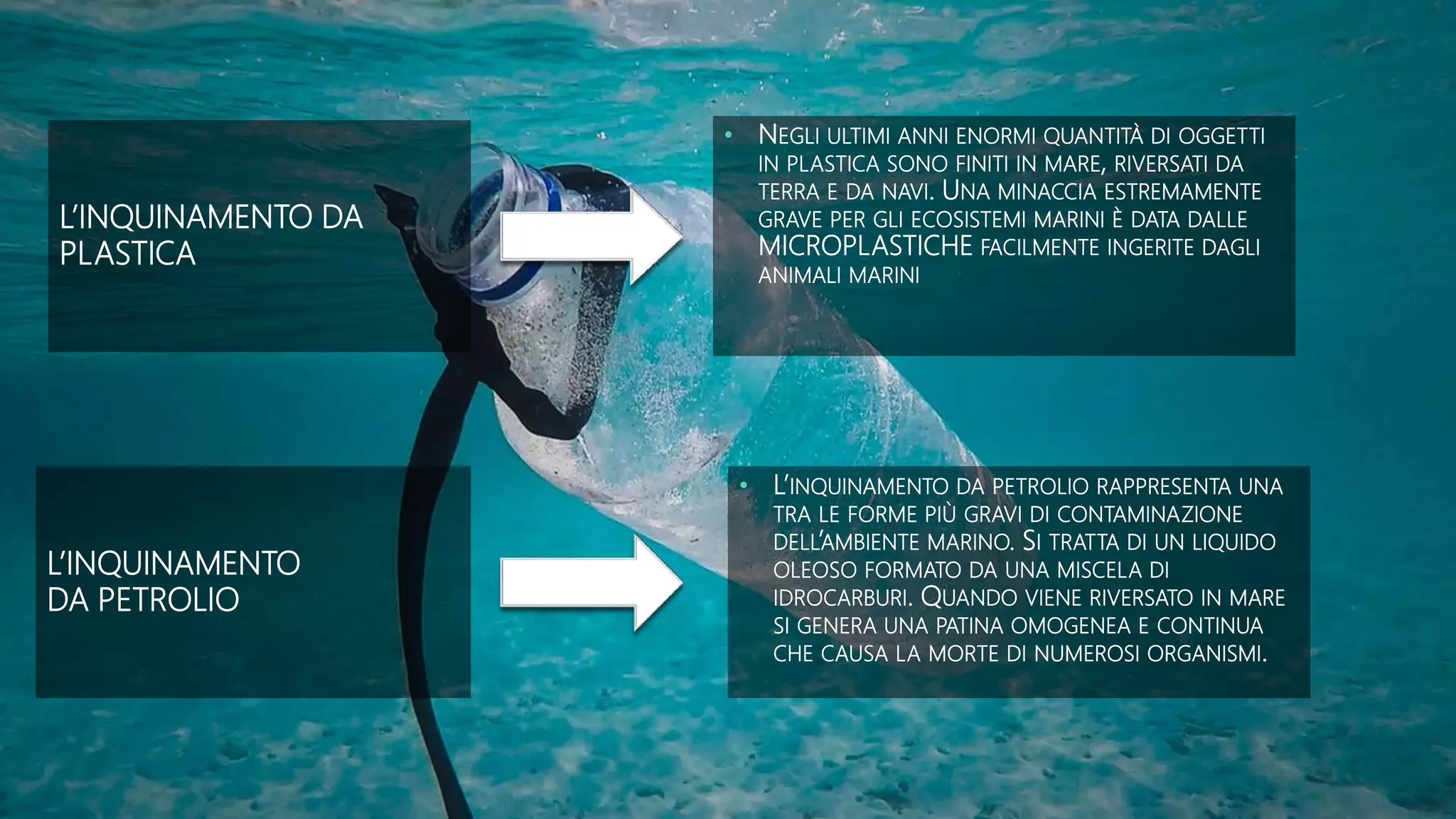 inquinamento_acque_marine.pptx
