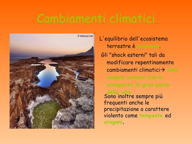 Inquinamento atmosferico | PPT | Science