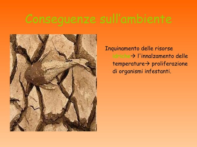 Inquinamento atmosferico | PPT | Science