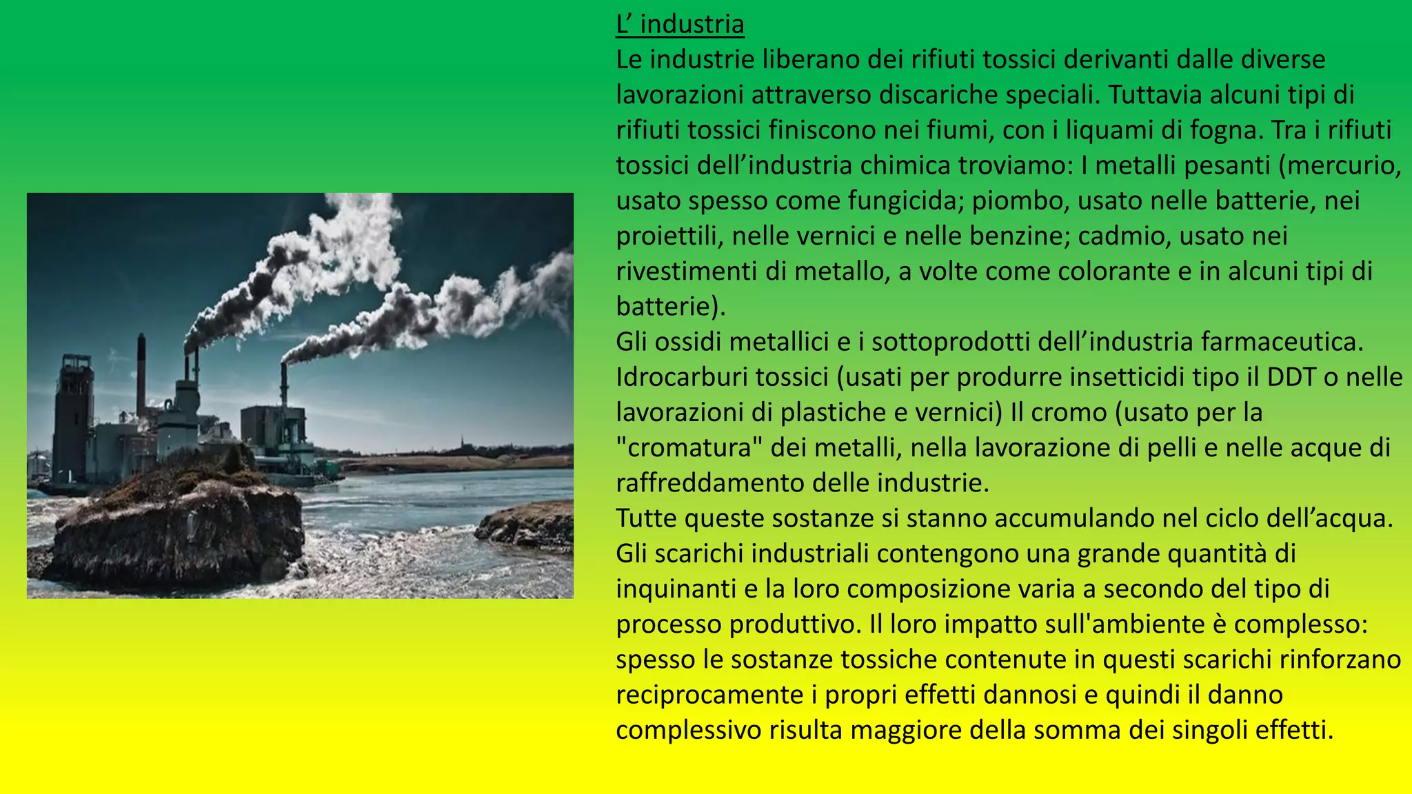 Inquinamento dell'acqua | PPTX