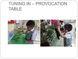 Inquiry learning in kindergarten | PPTX | Education