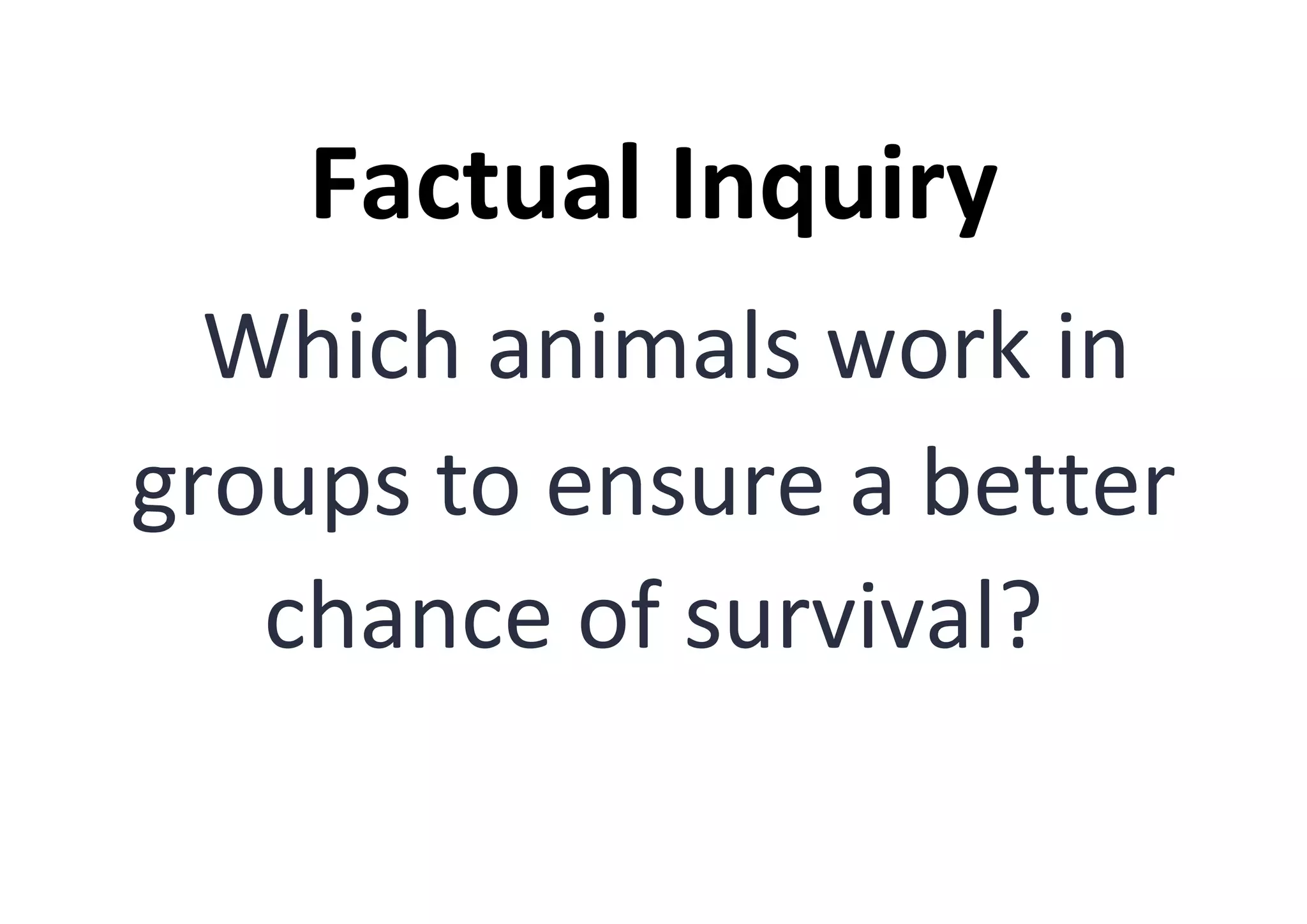 Inquiry Questions.docx