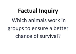 Inquiry Questions.docx