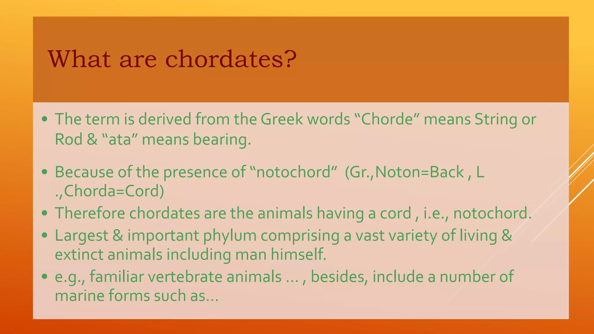 Inroduction to chordates | PPT