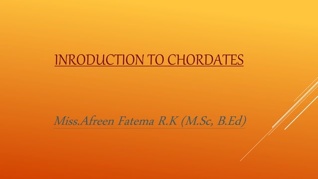 Inroduction to chordates | PPT