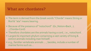 Inroduction to chordates | PPT