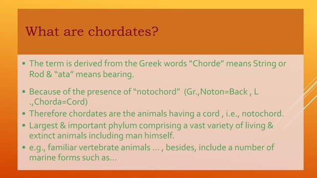 Inroduction to chordates | PPT
