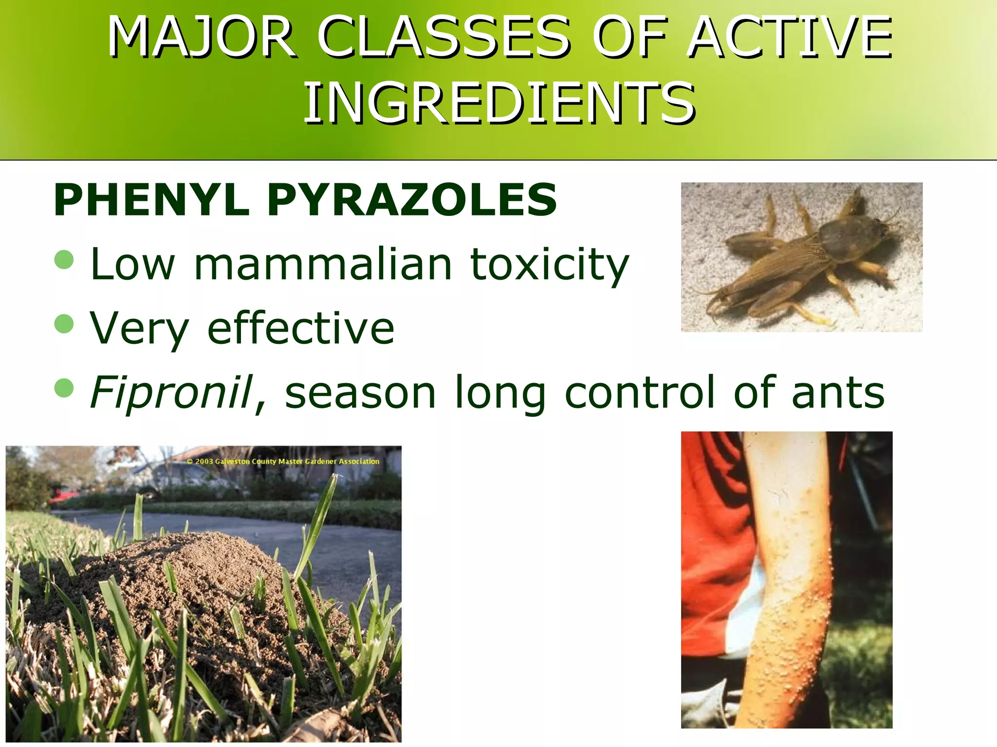 insecticides groups (Muhammad Abdullah) | PPT