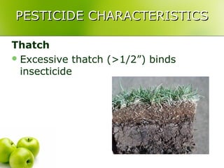 insecticides groups (Muhammad Abdullah) | PPT