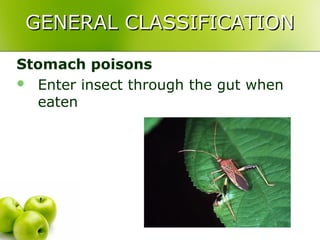 insecticides groups (Muhammad Abdullah) | PPT