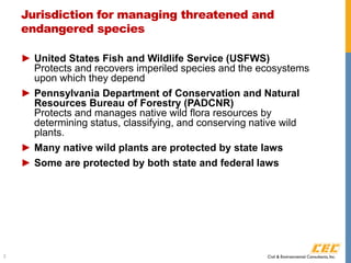 Threatened & Endangered Plant Species in Pennsylvania | PPTX