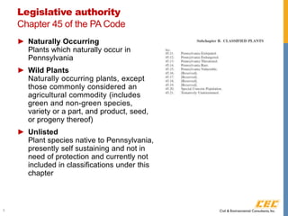Threatened & Endangered Plant Species in Pennsylvania | PPT