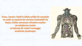 İnsan Ne ile Yaşar | PPT