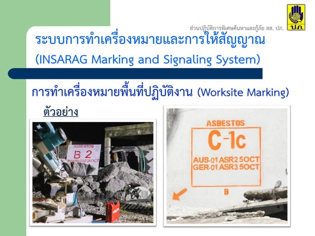 INSARAG Masking and Signaling System Ver.2020 DDPM | PDF