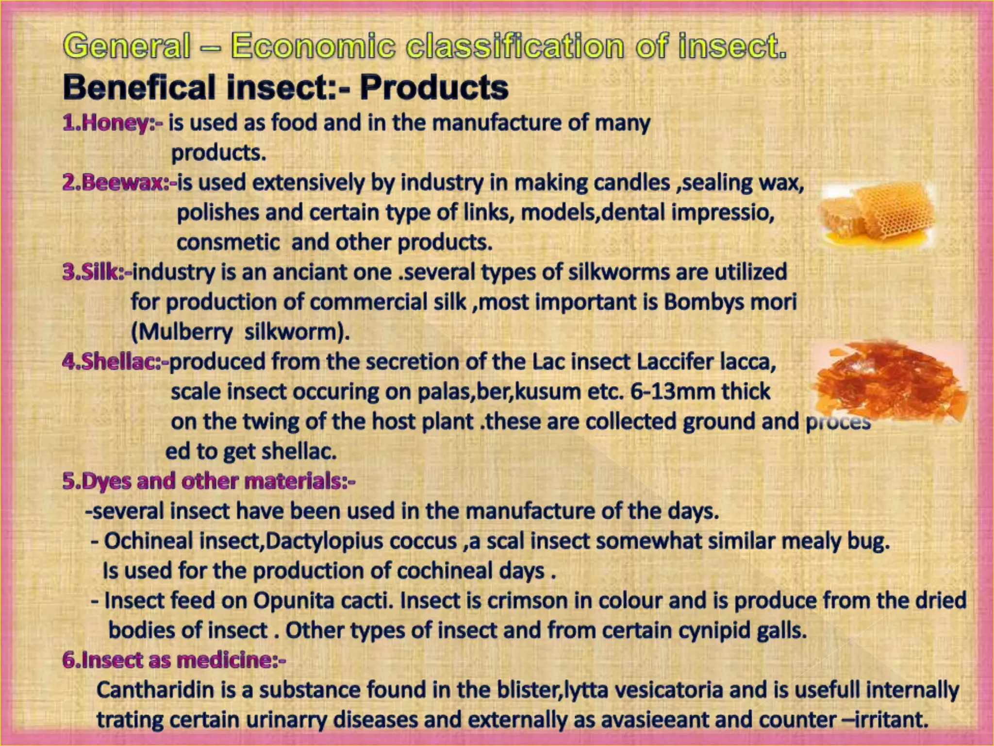 General – Economic classification of insect. | PPTX