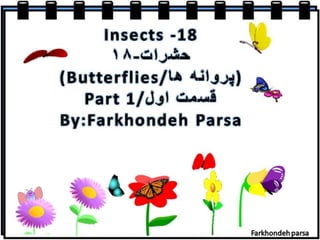 Insect 18 | PPT