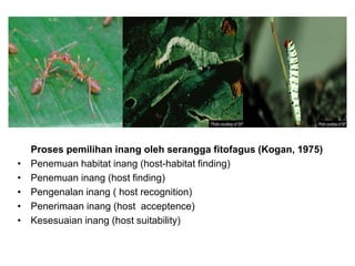 PERTAHANAN TANAMAN TERHADAP SERANGGA | PPTX
