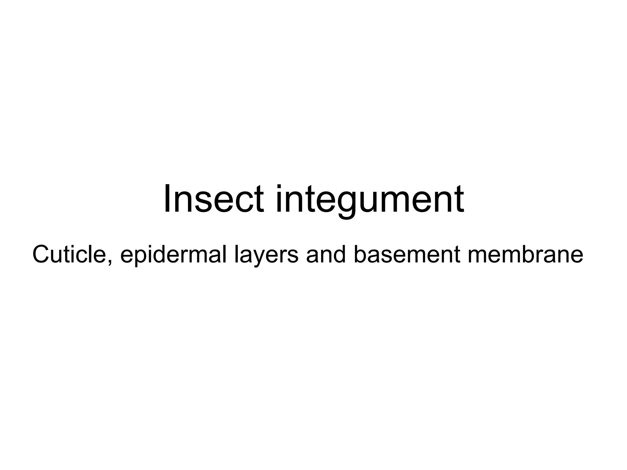 Insect-integument (exoskeleton) cuticle.pptx