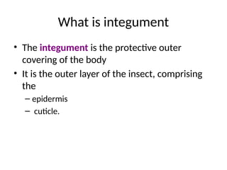 Insect-integument (exoskeleton) cuticle.pptx
