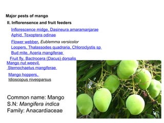 insect-pest of fruits, vegetables and other crops.ppt