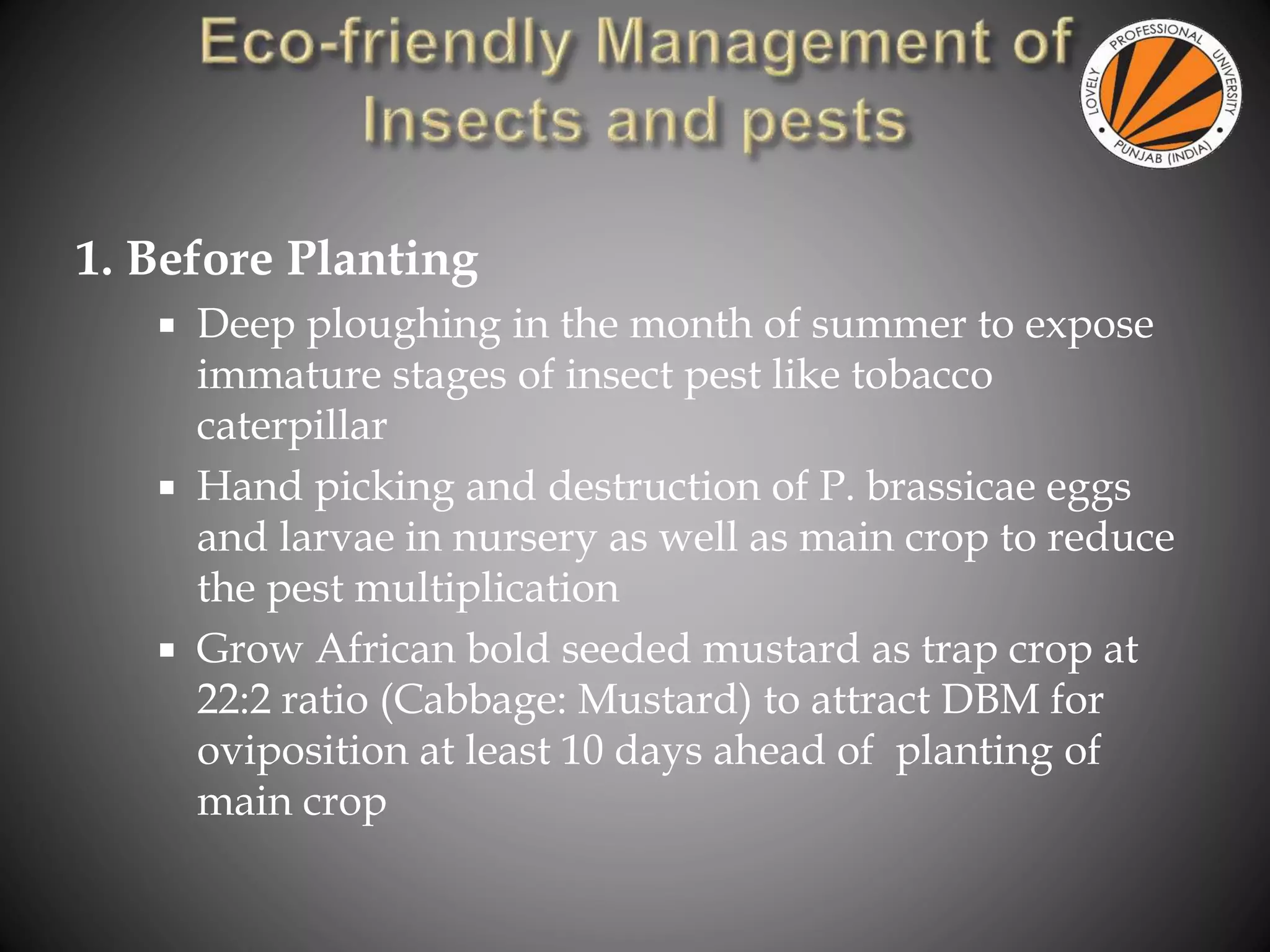 Insect pest of cole crops and their management | PPTX