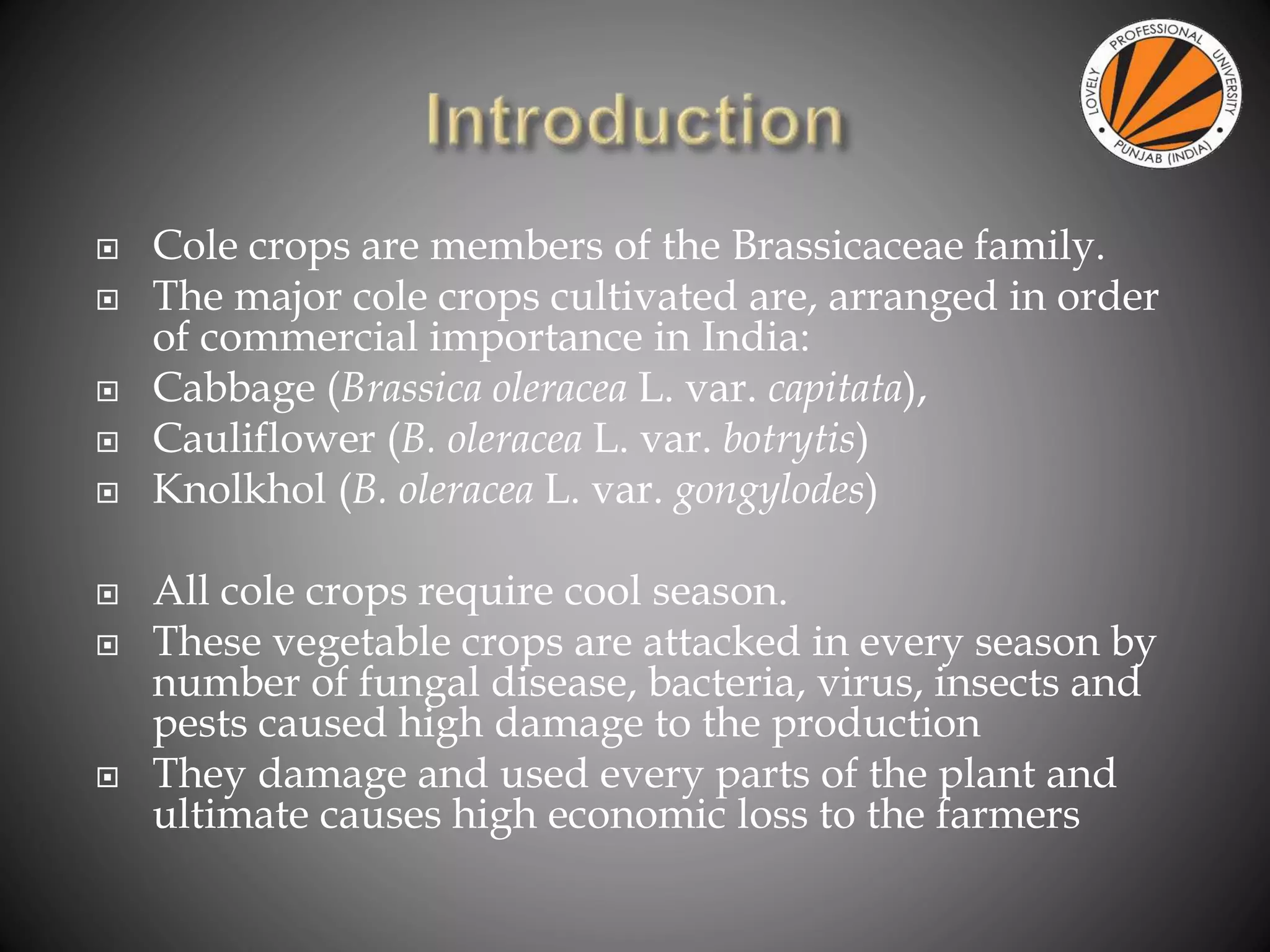 Insect pest of cole crops and their management | PPTX