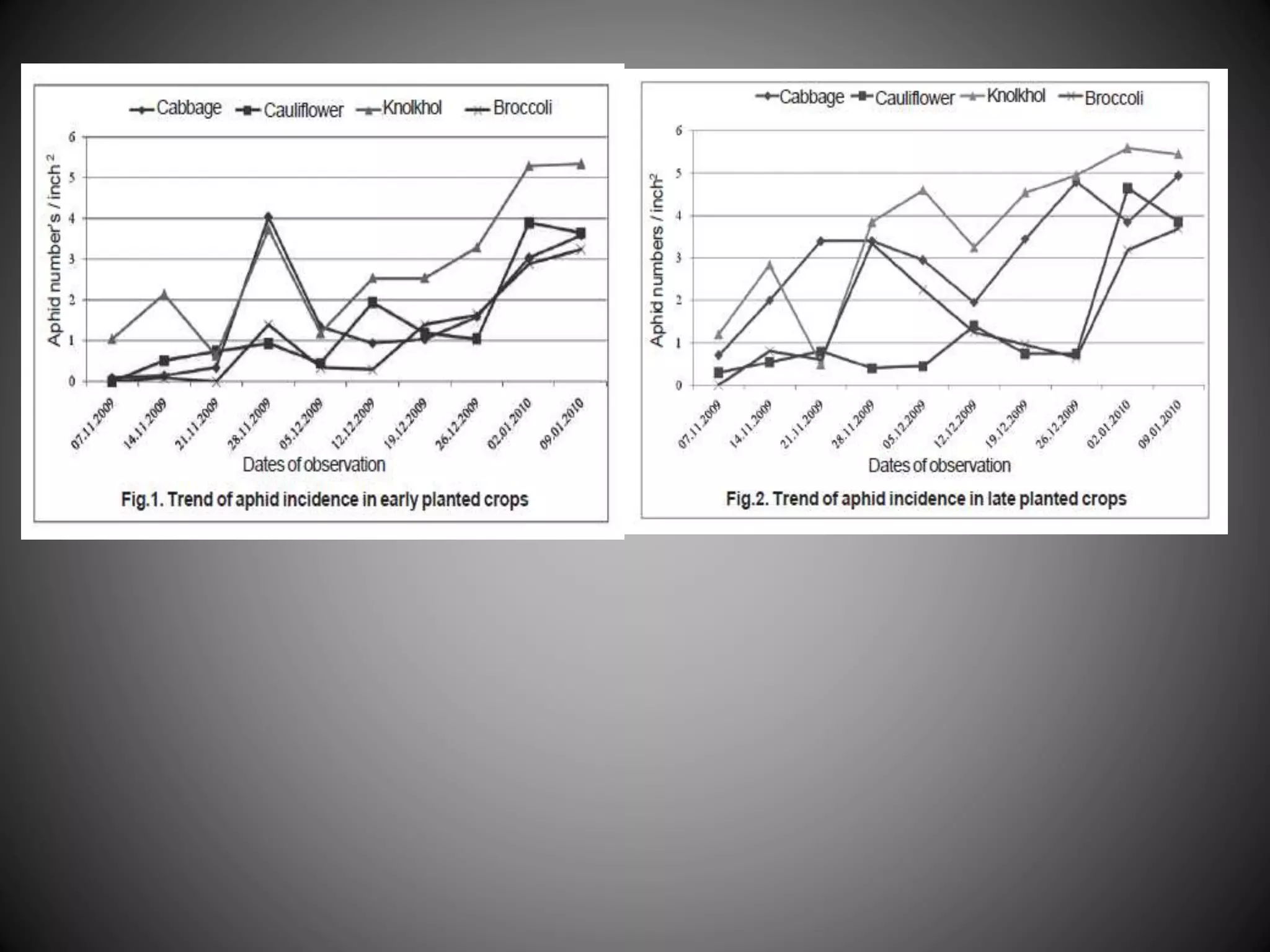 Insect pest of cole crops and their management | PPTX