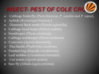 Insect pest of cole crops and their management | PPTX
