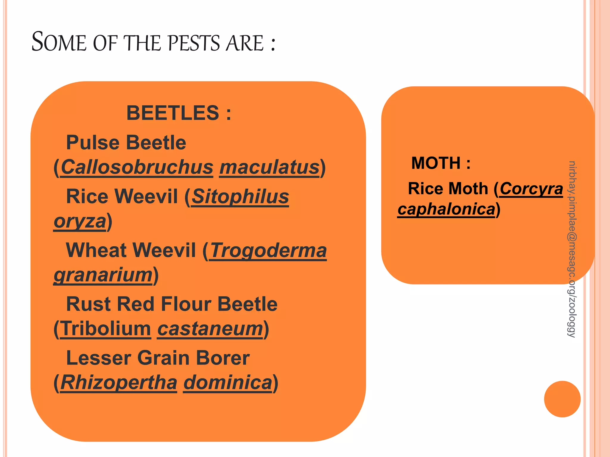 Insect pests | PPTX