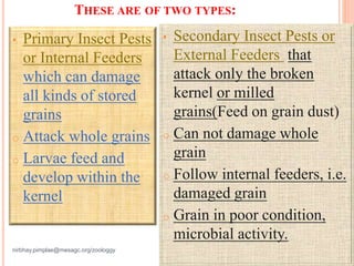 Insect pests | PPTX