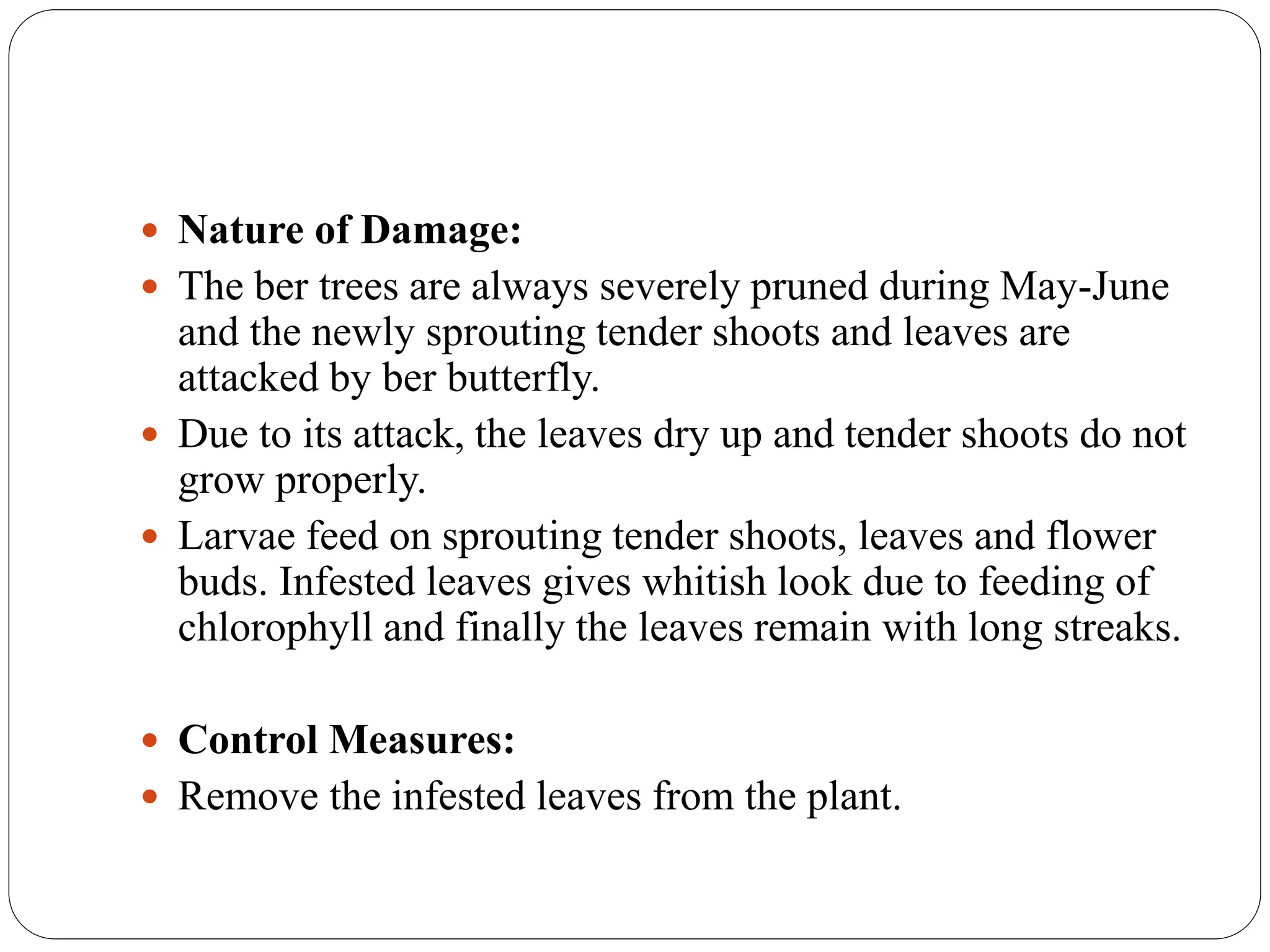 Insect- Pests Damage and their control measures of Ber ppt.pptx