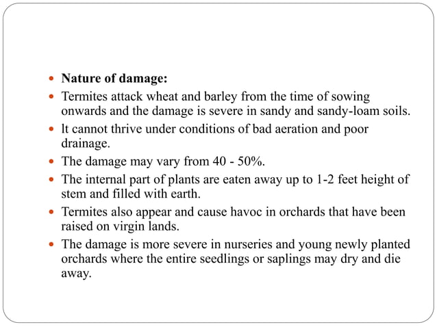 Insect- Pests Damage and their control measures of Ber ppt.pptx