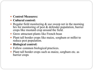 Insect- Pests Damage and their control measures of Ber ppt.pptx