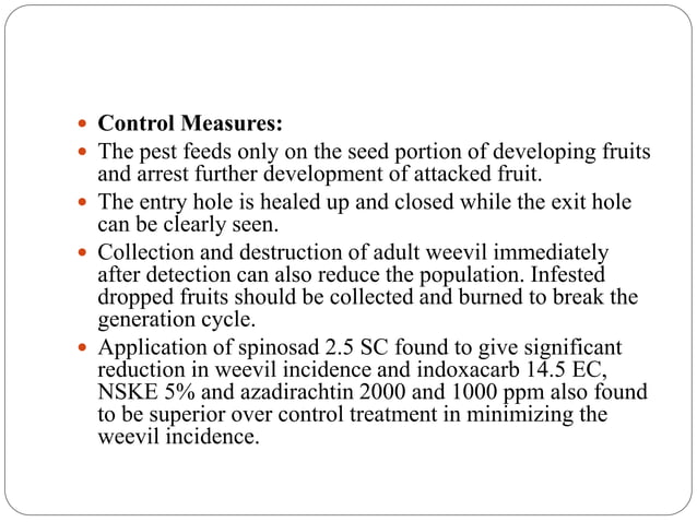 Insect- Pests Damage and their control measures of Ber ppt.pptx