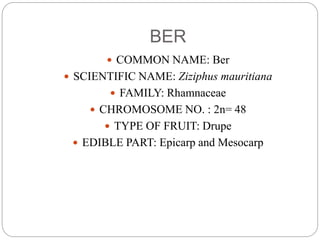 Insect- Pests Damage and their control measures of Ber ppt.pptx