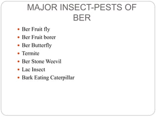 Insect- Pests Damage and their control measures of Ber ppt.pptx