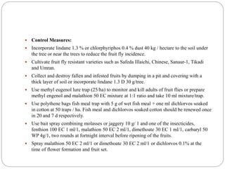 Insect- Pests Damage and their control measures of Ber ppt.pptx