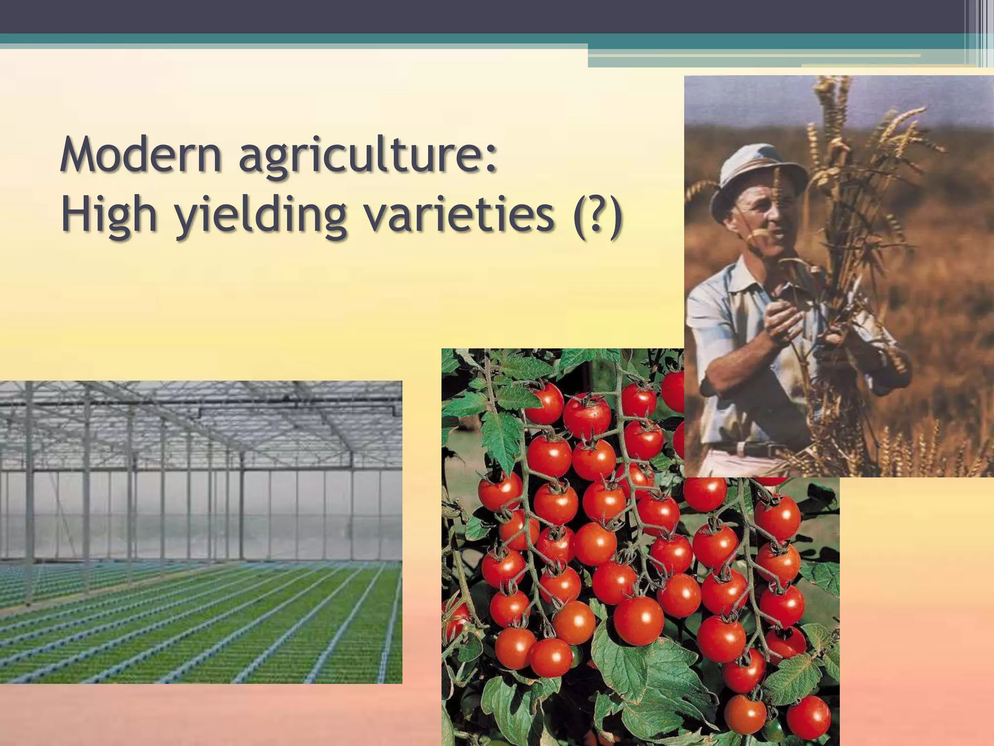 Insect plant interactions | PPTX