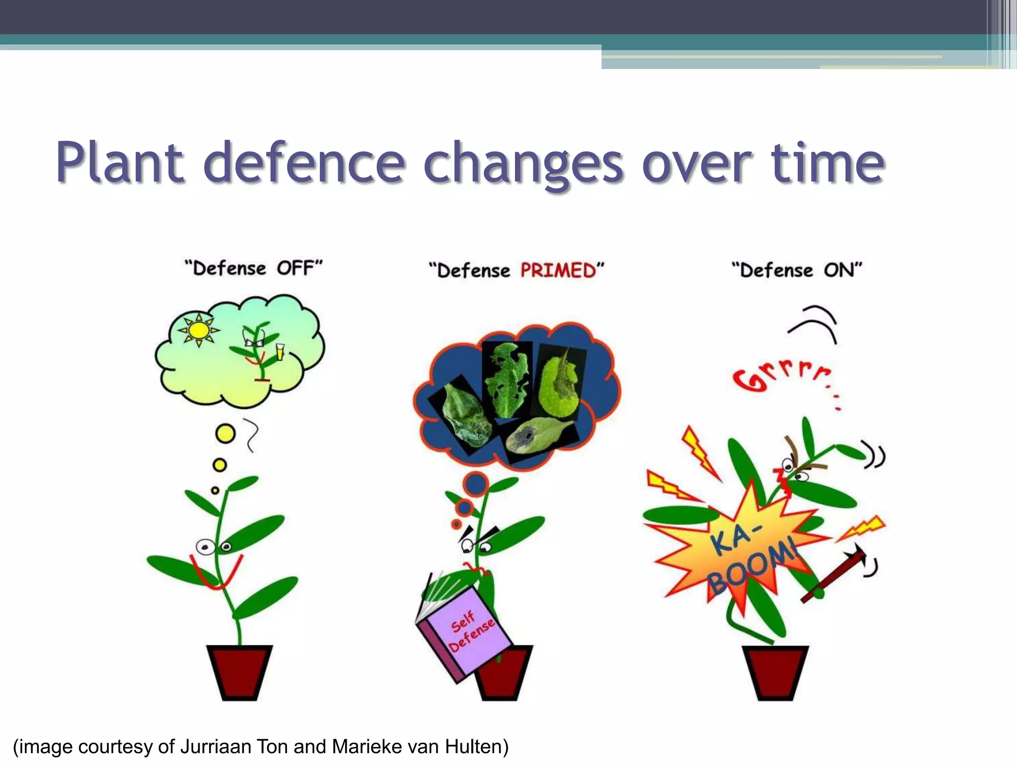 Insect plant interactions | PPTX
