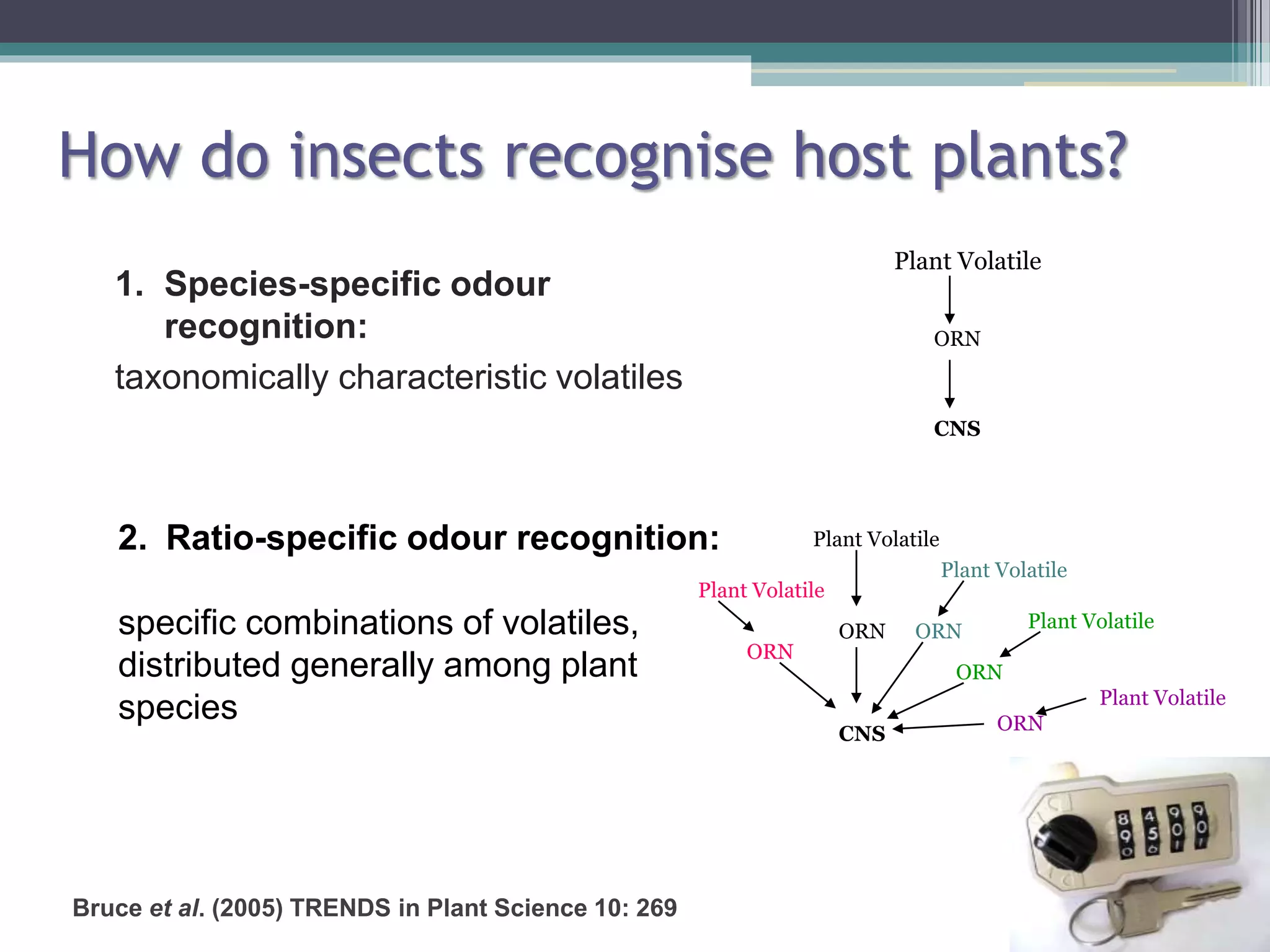 Insect plant interactions | PPTX