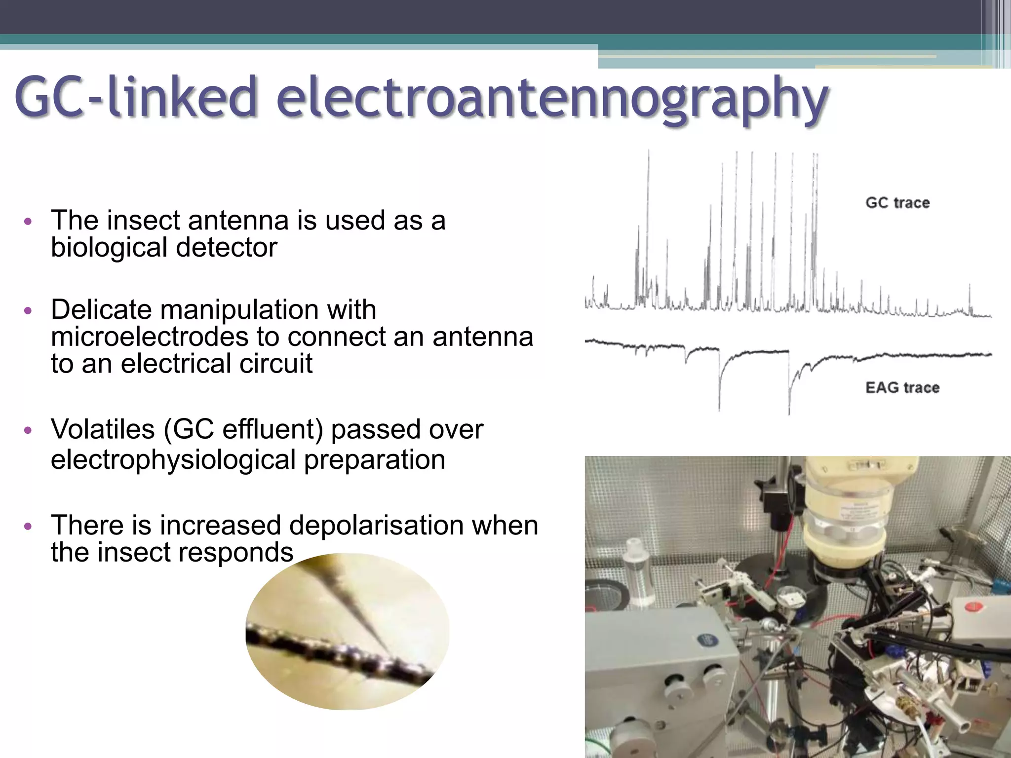 Insect plant interactions | PPTX