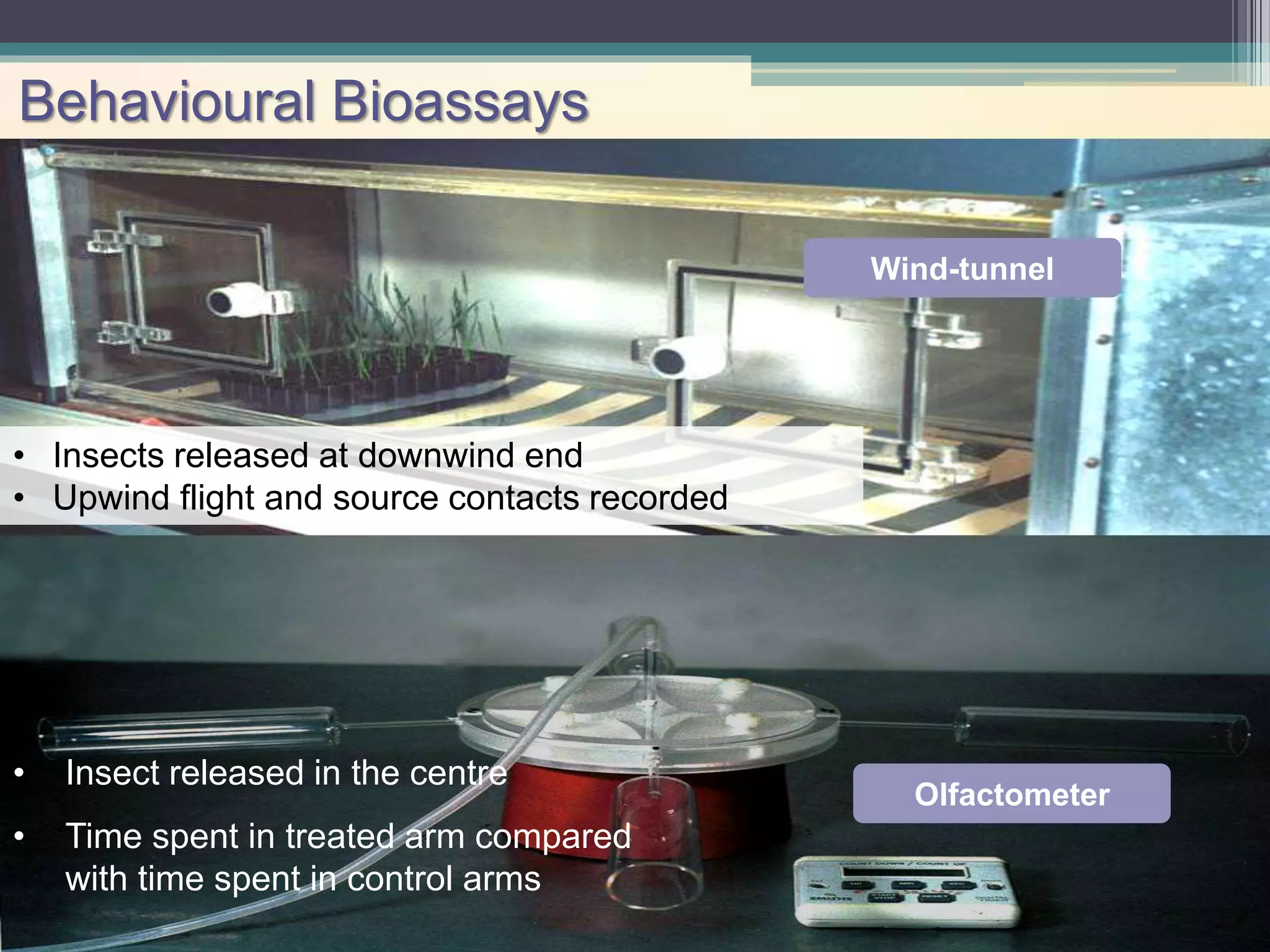Insect plant interactions | PPTX