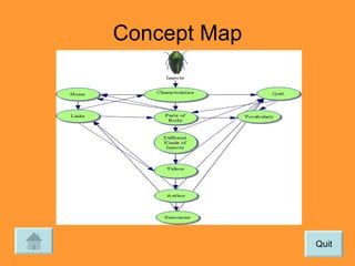 Insects Powerpoint | PPT