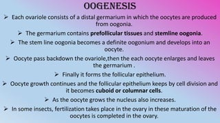 INSECT-REPRODUCTION.pdf entomology copyright | PPT
