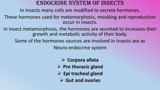 INSECT-REPRODUCTION.pdf entomology copyright | PPT